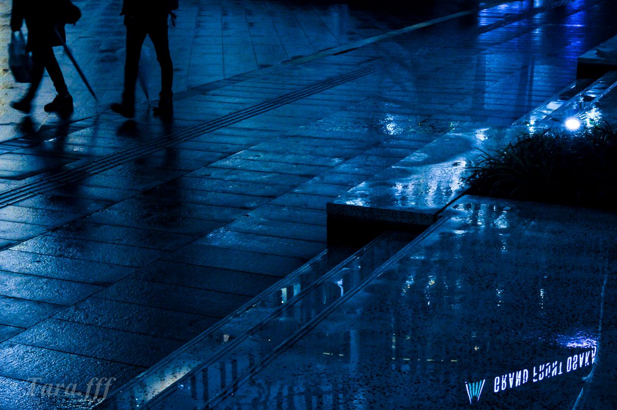 After the rain | GANREF