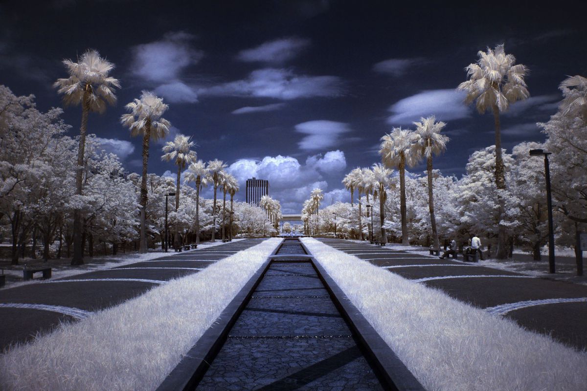 IR 水と緑のプロムナード | GANREF