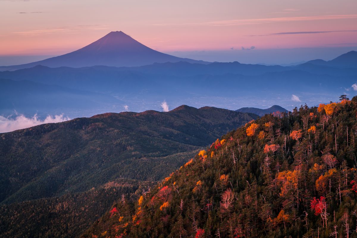初秋の色染め | GANREF