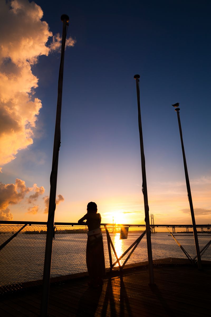 morning glow | GANREF