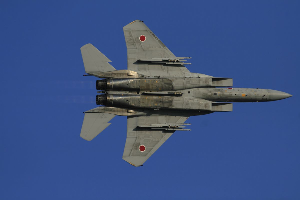 F15のおなか.JPG | GANREF