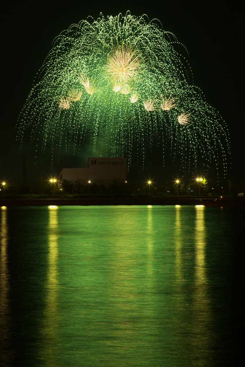 twinkling tree | GANREF