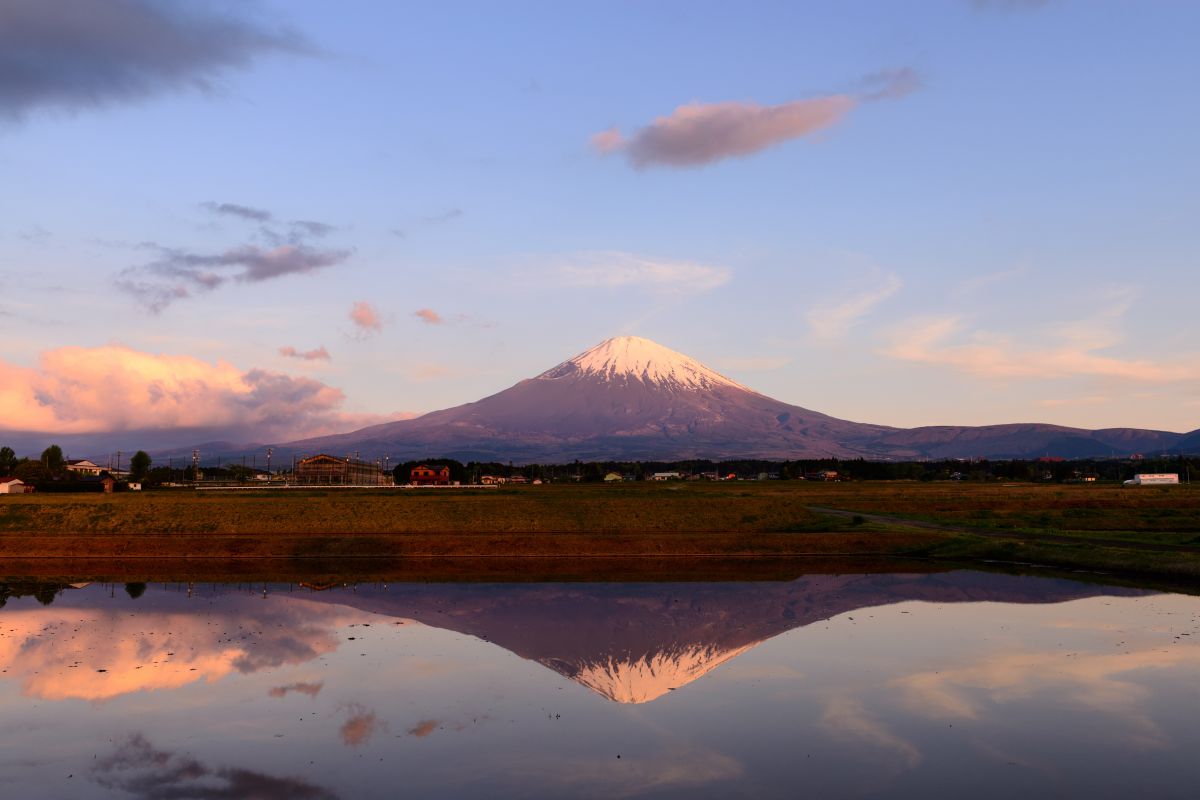 田んぼの朝 | GANREF