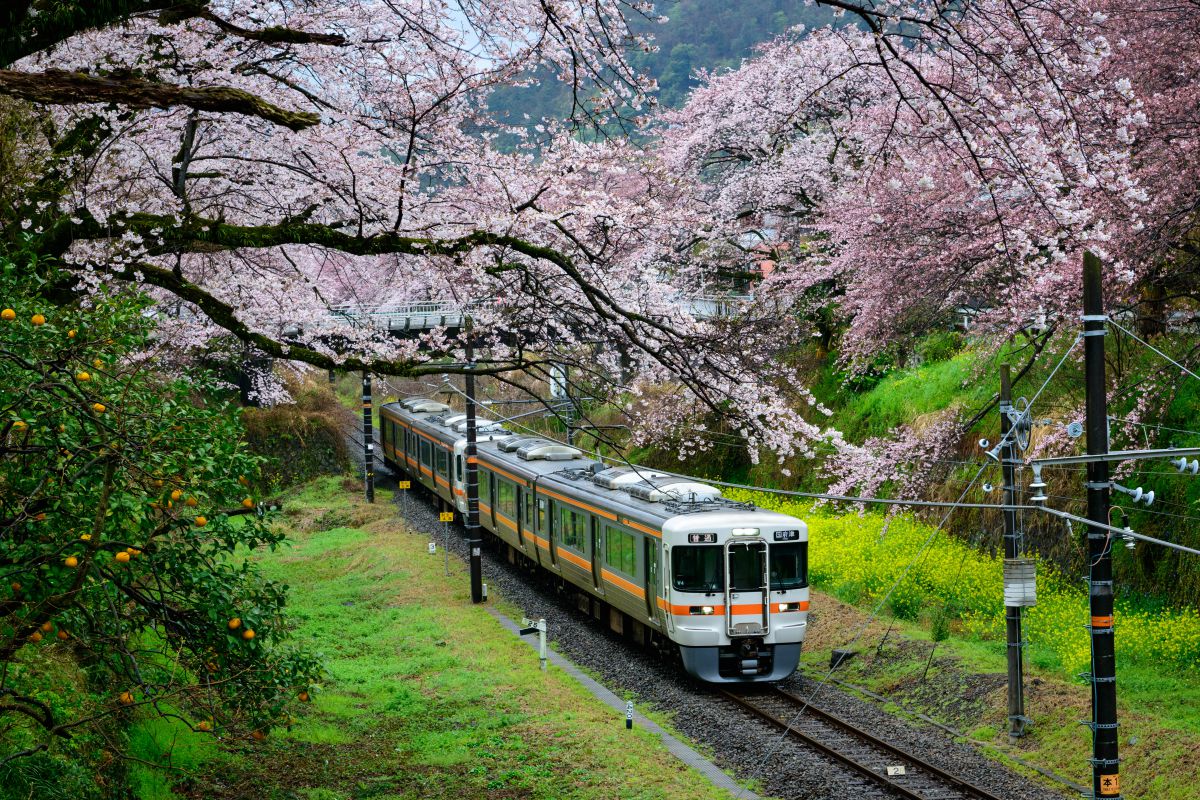 御殿場線 | GANREF