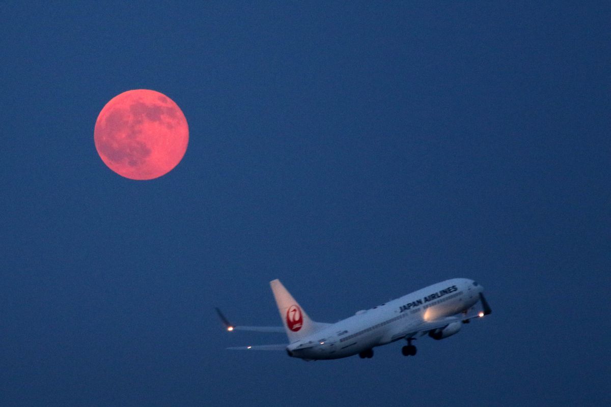 FULL MOON FLIGHT JAL | GANREF