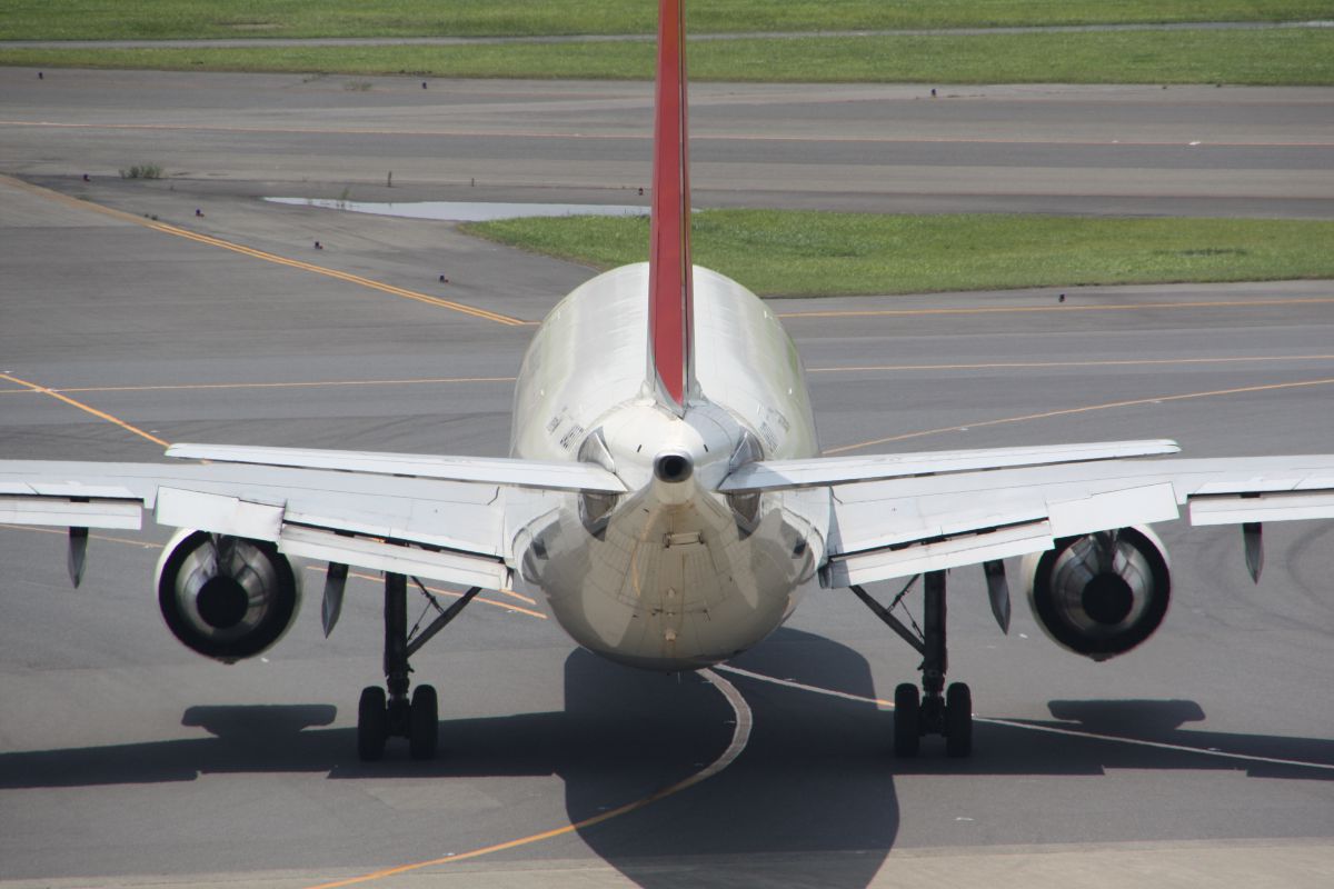 Tail of JAL A300-600R | GANREF