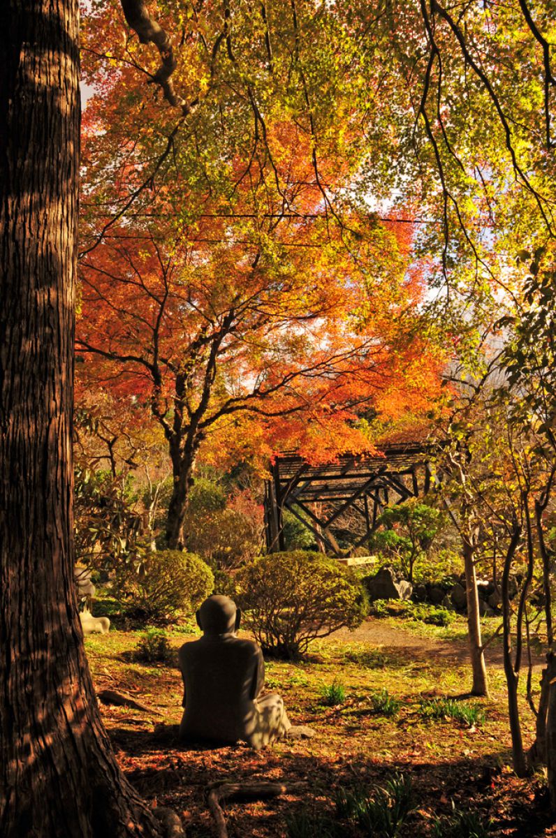 無の心境 | GANREF