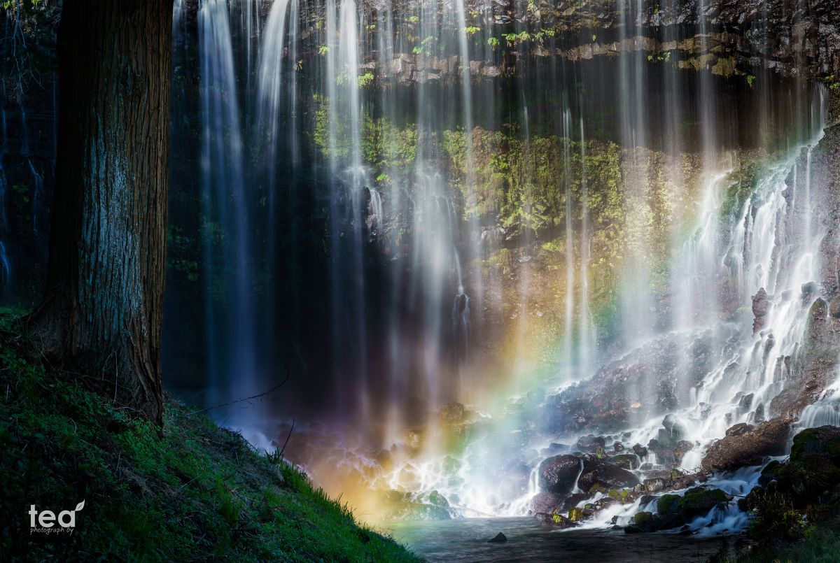 The phantom | GANREF