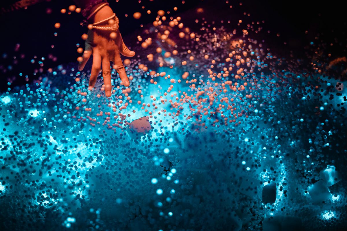 cola & soda | GANREF