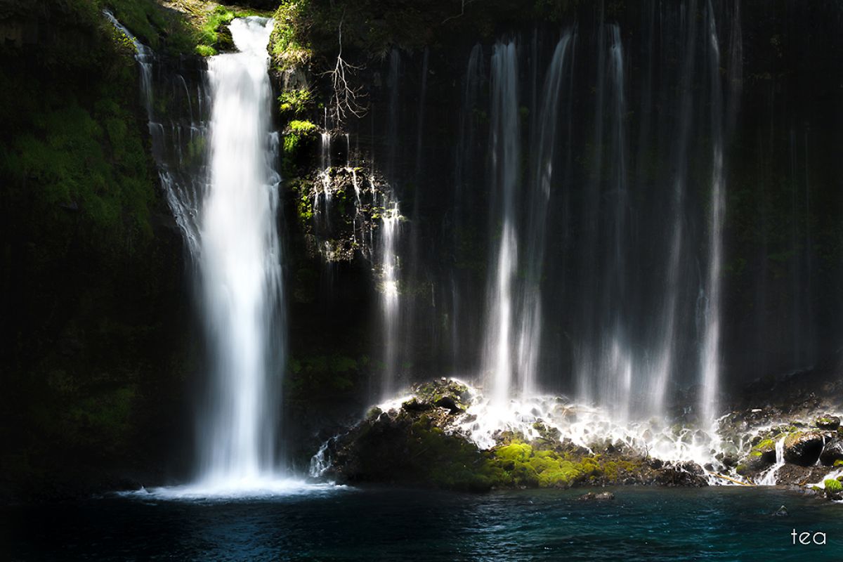 Silky times | GANREF