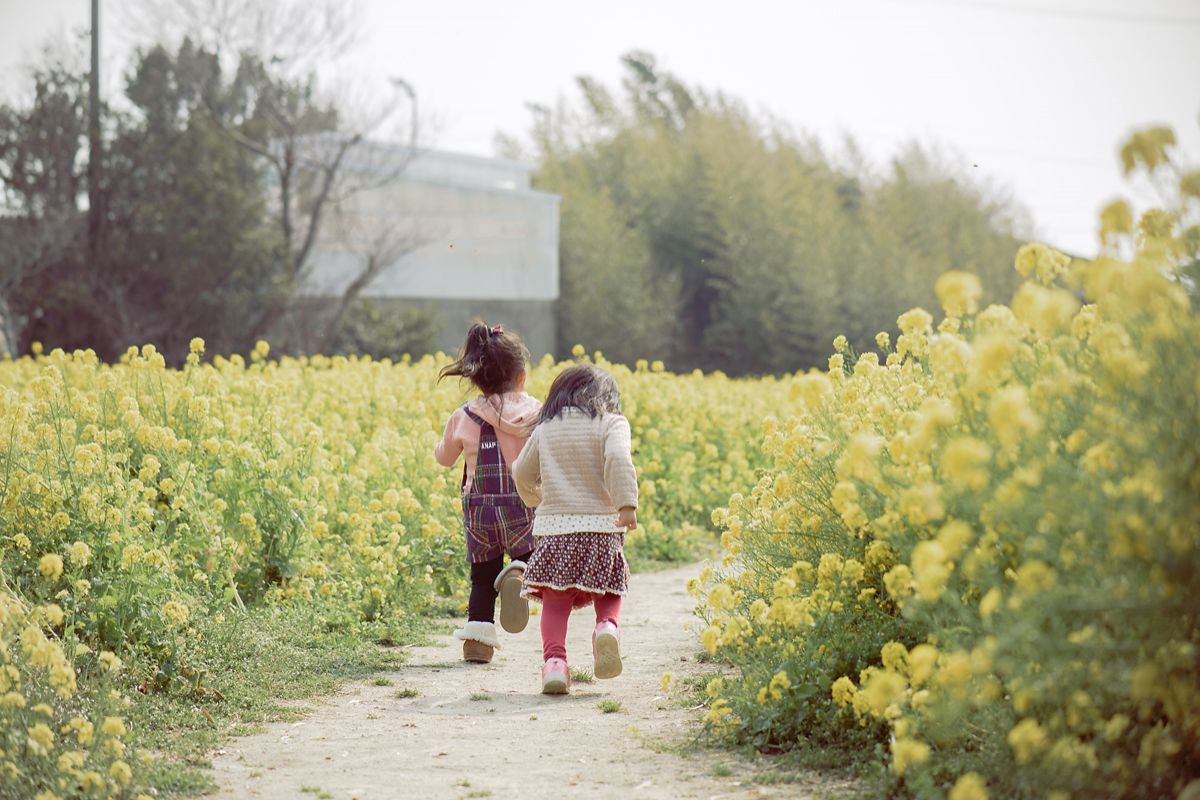 迷路を駆け巡る | GANREF