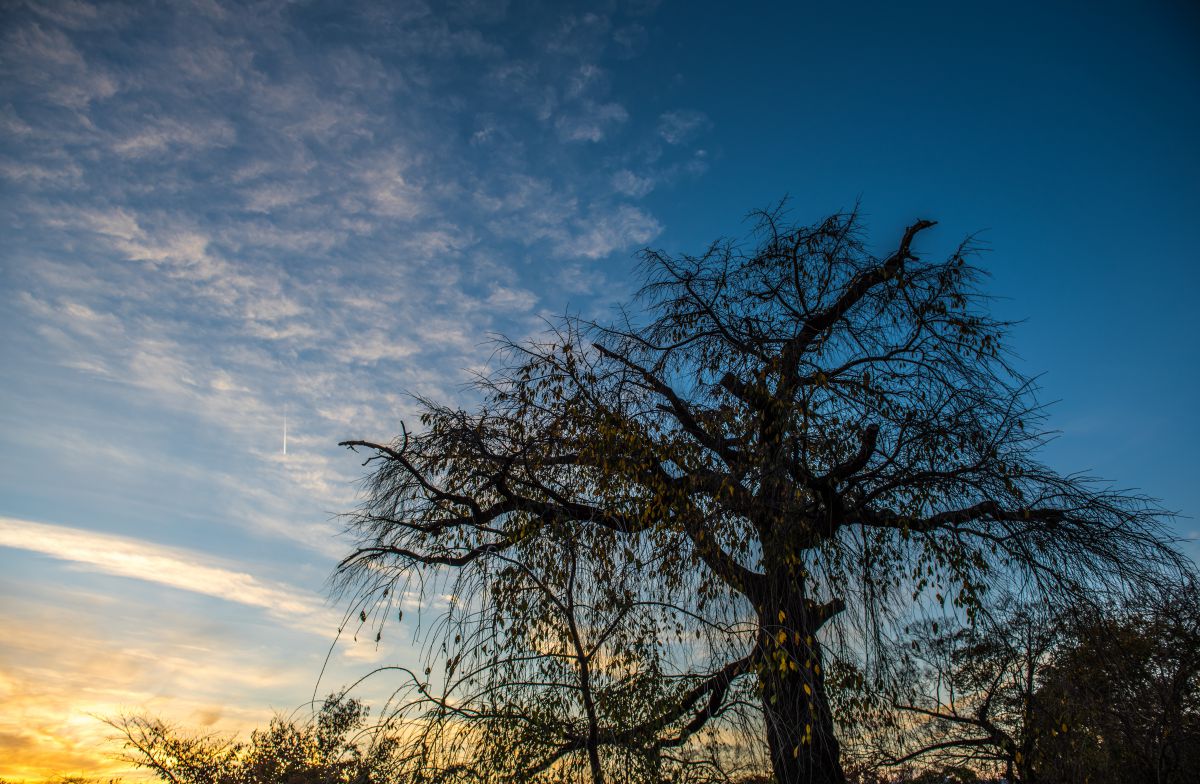 Ready for Winter | GANREF