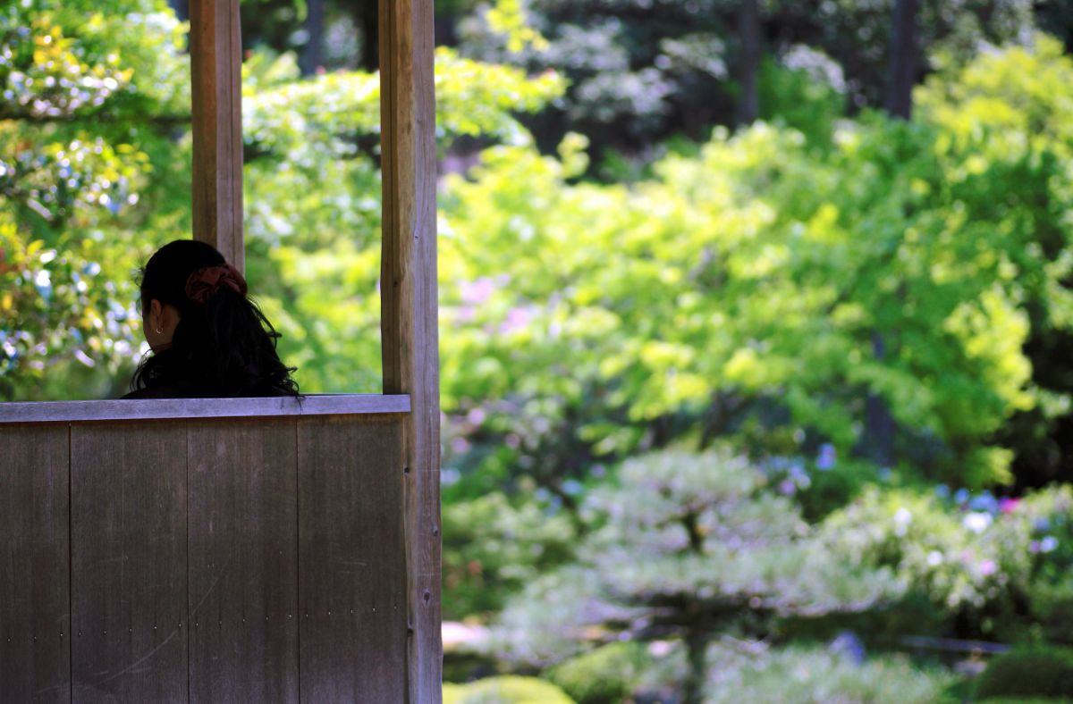 Wind of May | GANREF