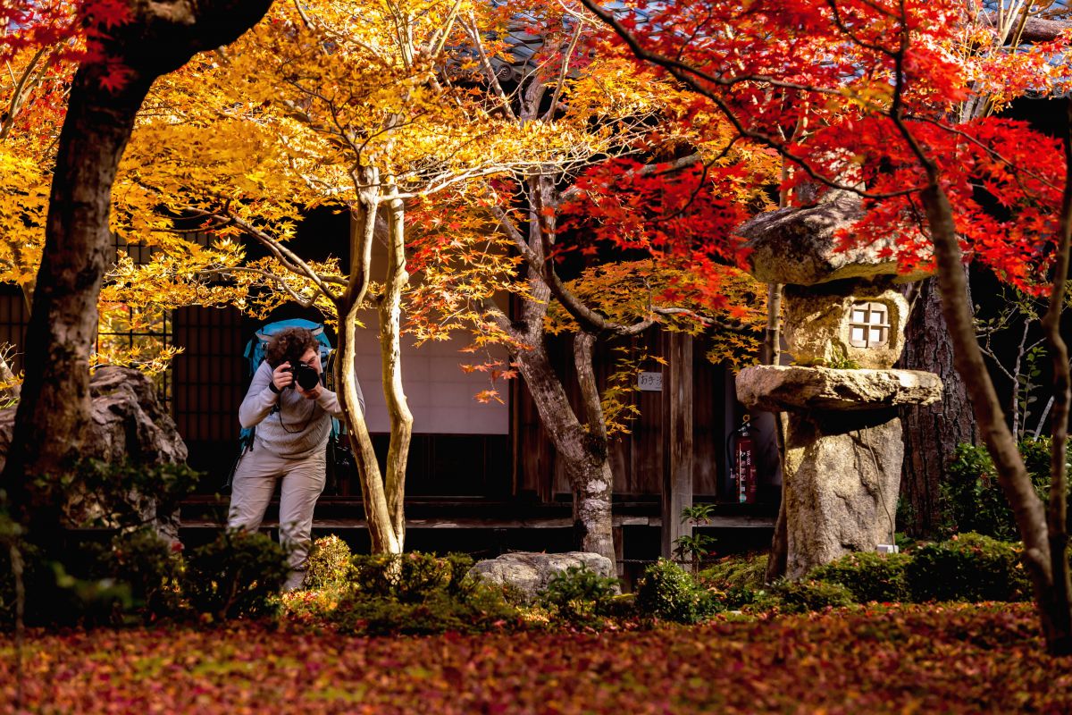 Good Job !! | GANREF