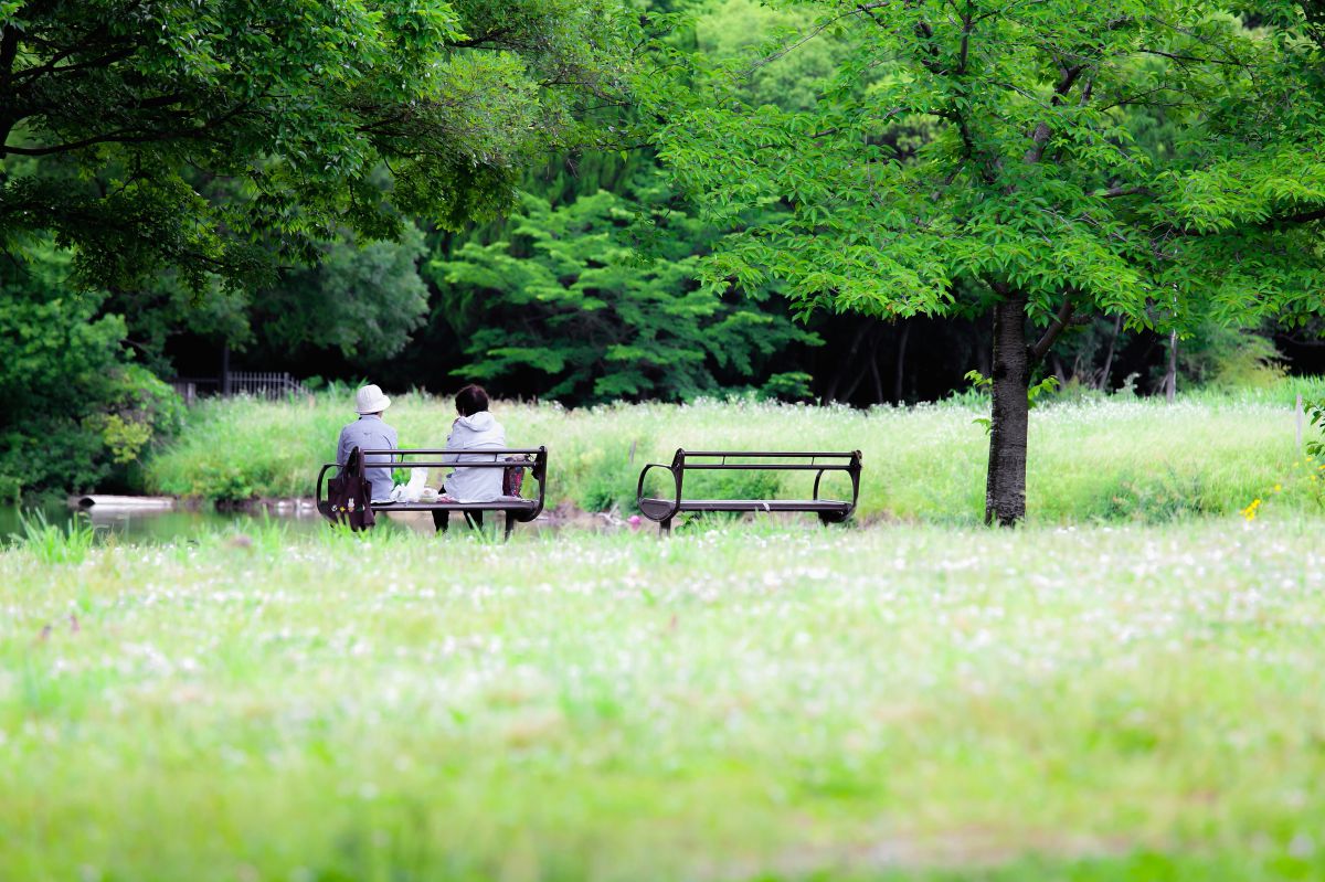 Greenfieldで... | GANREF