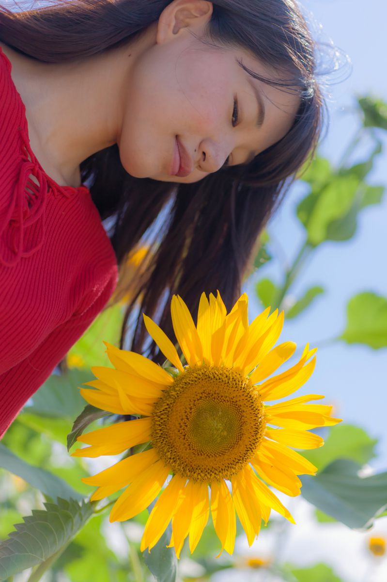 Sunflower girl** | GANREF