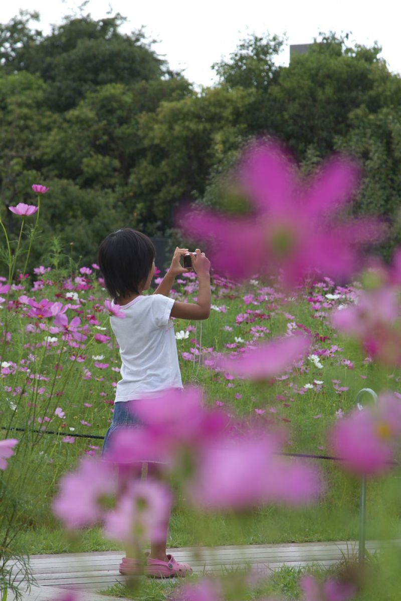 写すよ～ | GANREF