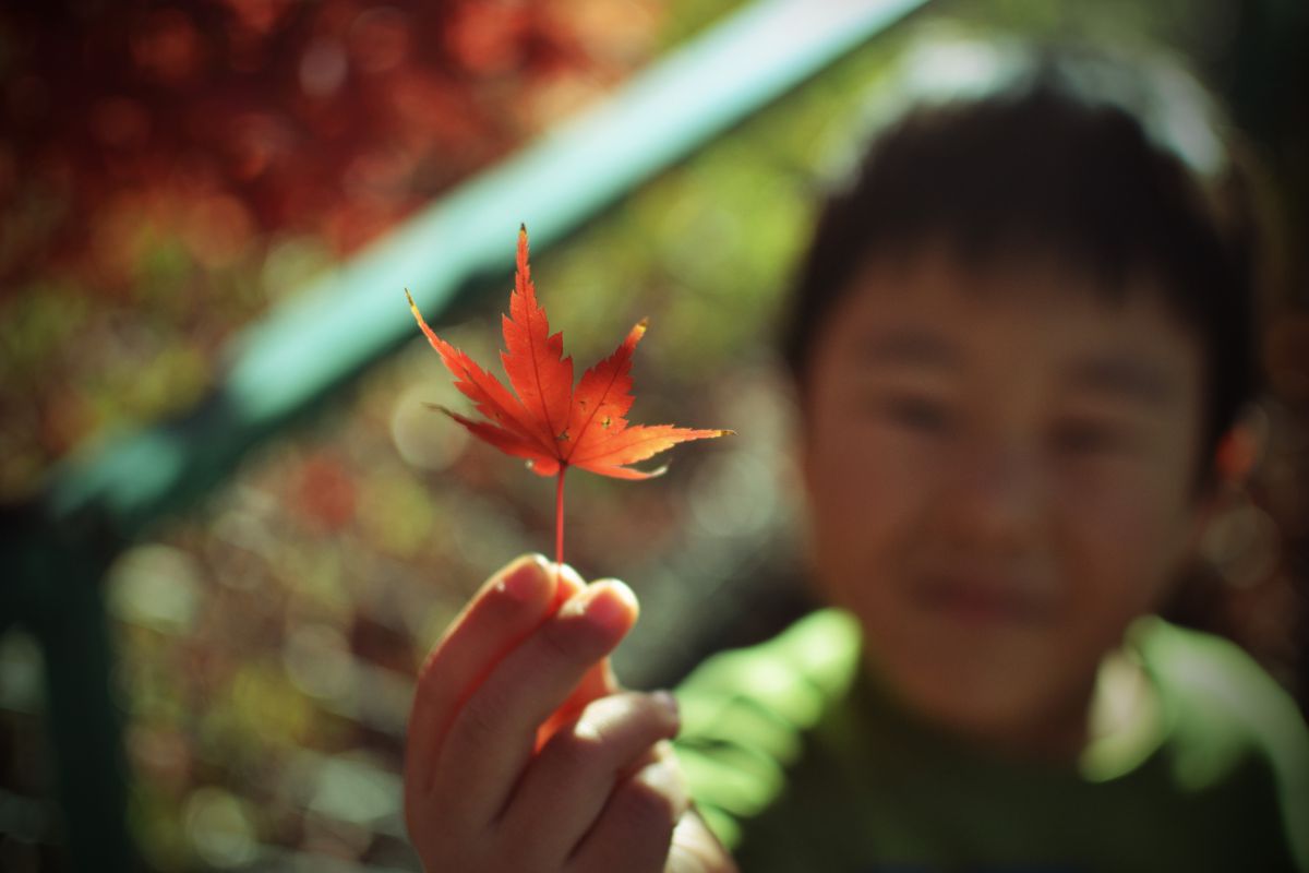 小さい秋見つけた | GANREF