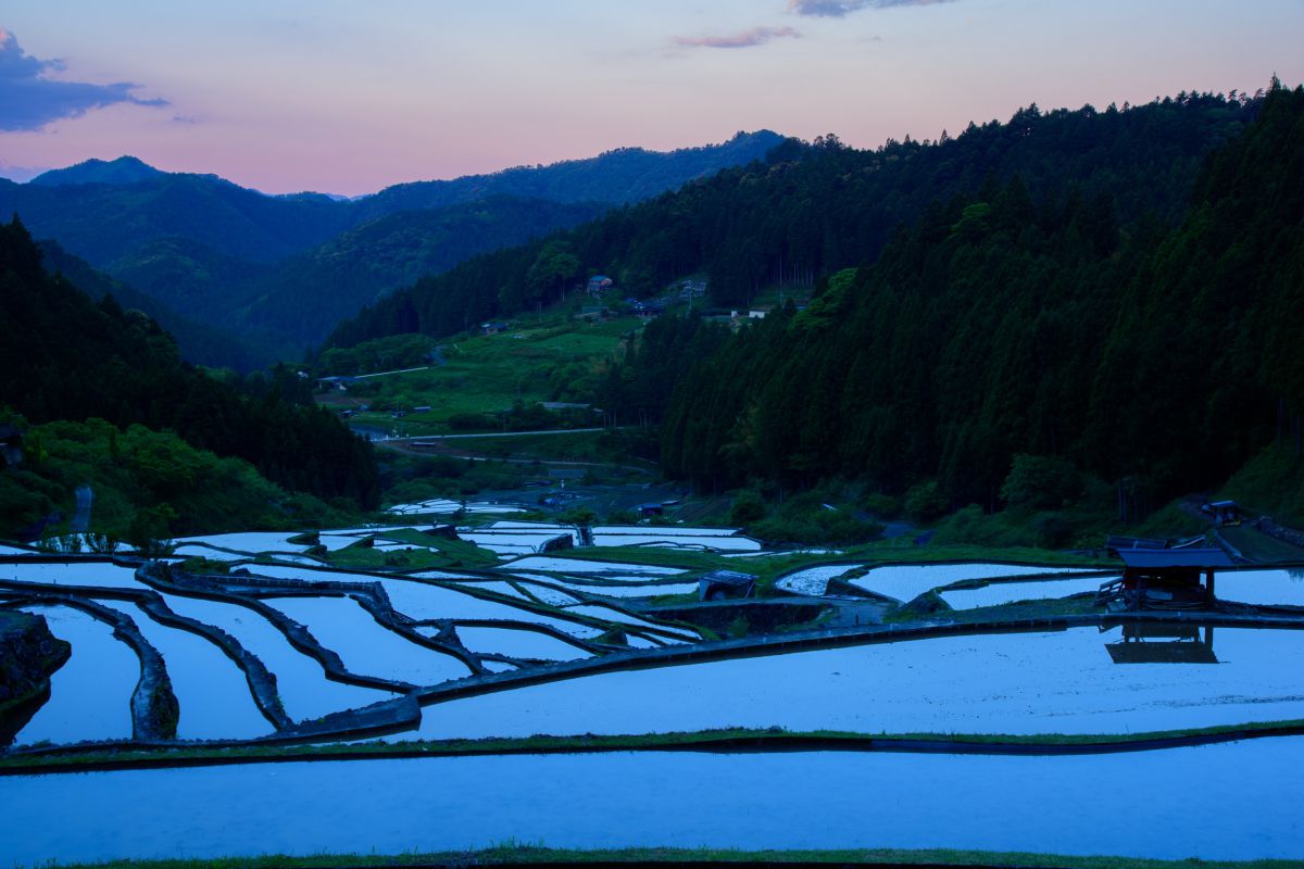 Refrect the secrets we hold in side | GANREF