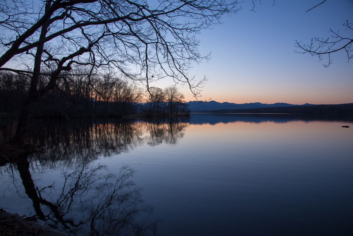 cold reflection | GANREF