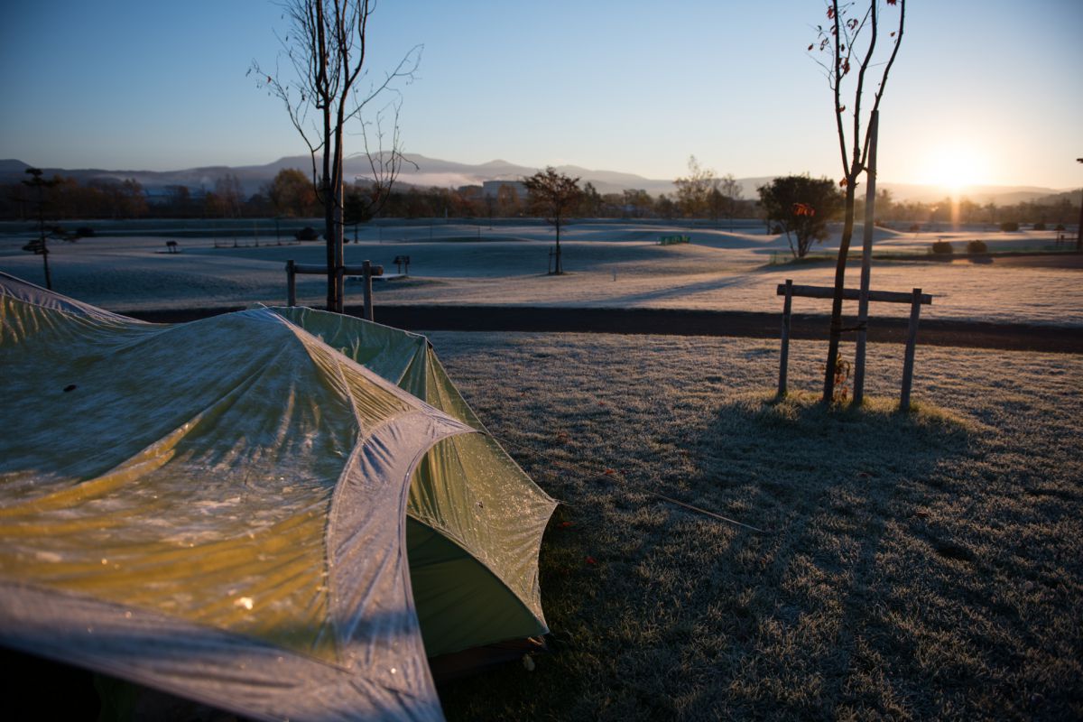 frozen morning | GANREF