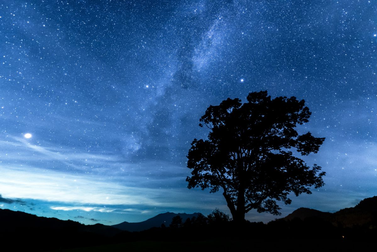 Symbol tree | GANREF