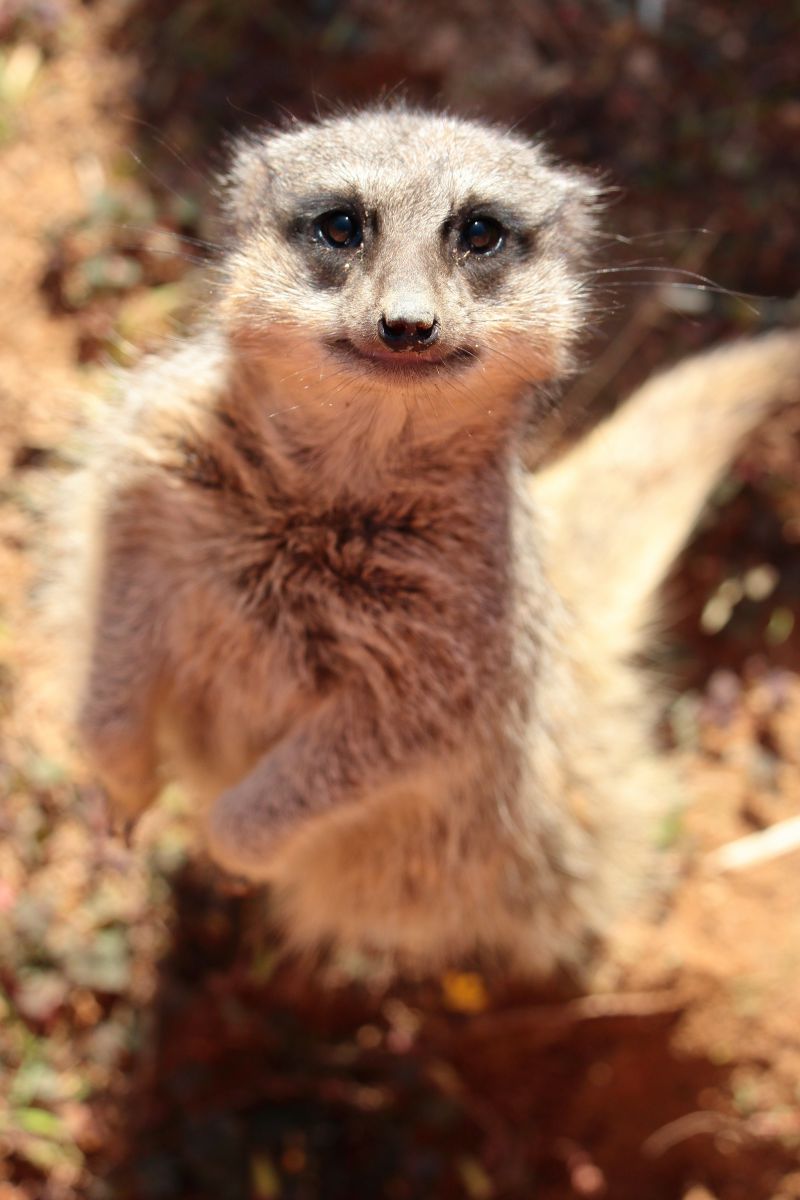 Really cute! | GANREF