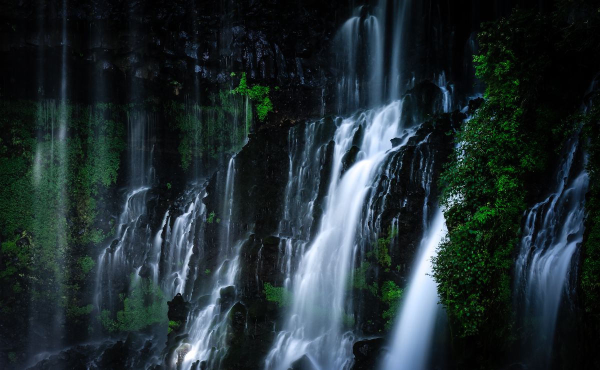 Eternal flow | GANREF