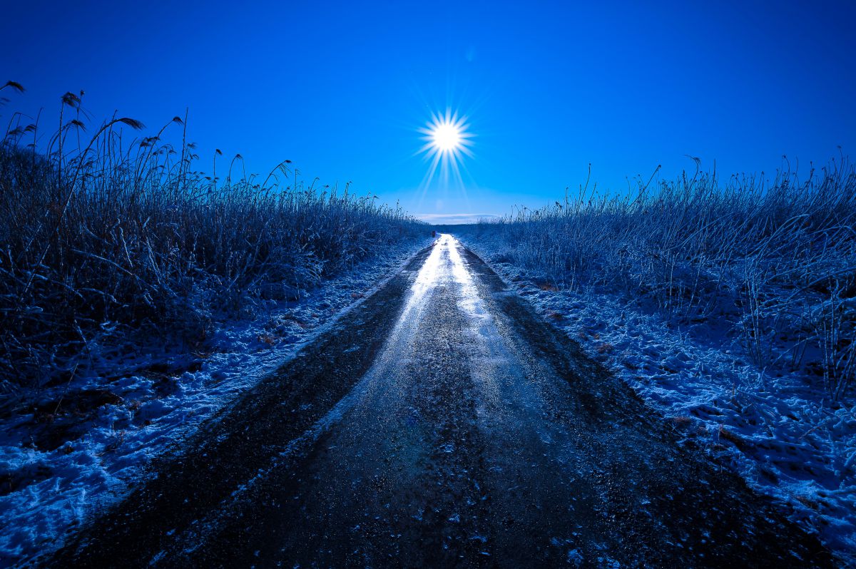 Starting point | GANREF