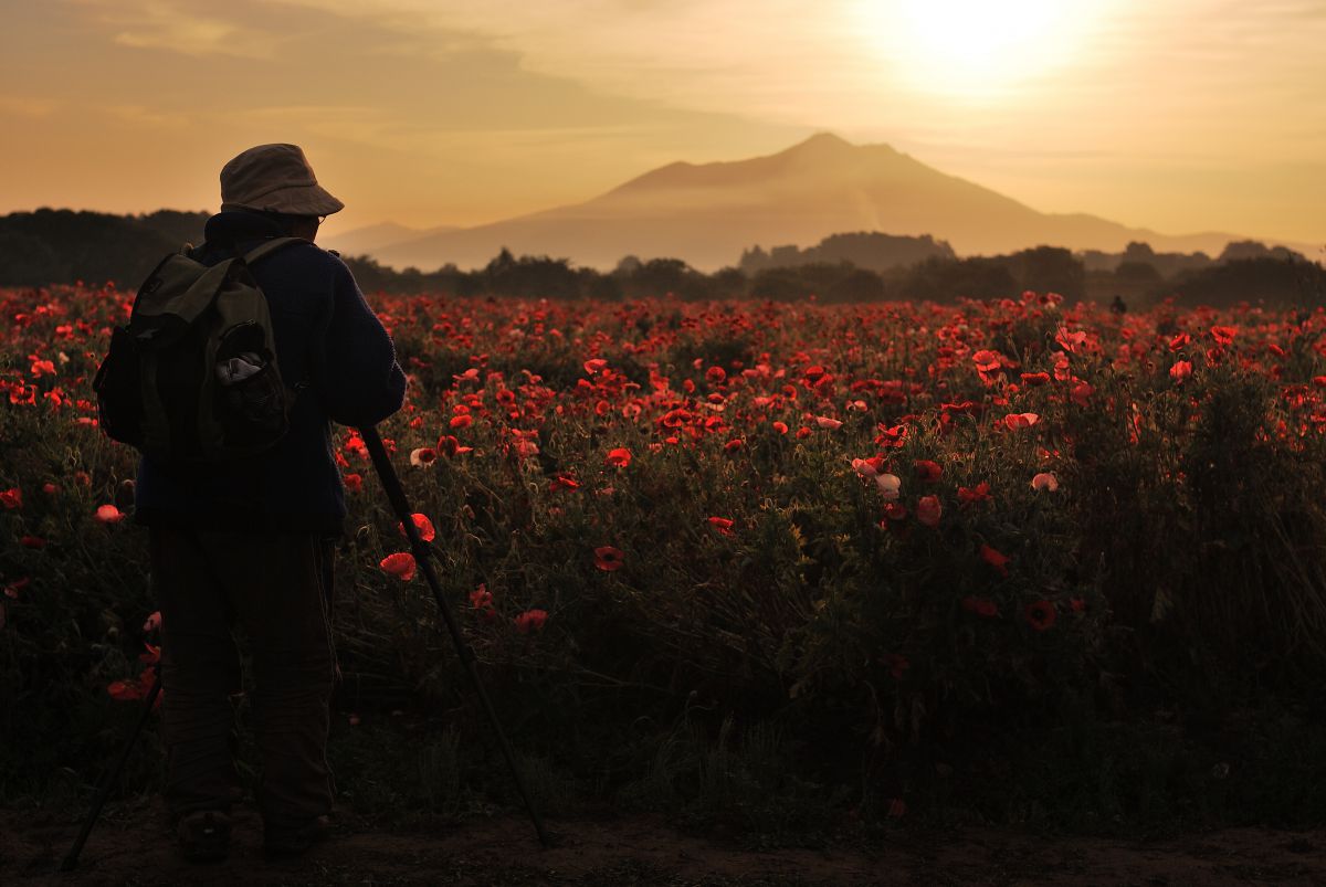 81-year-old woman | GANREF