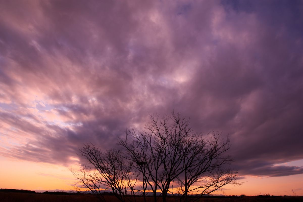 Innocent Sky | GANREF