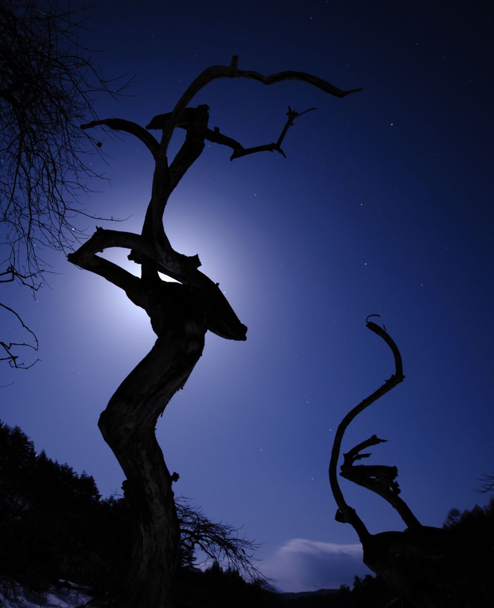 moonlight dance | GANREF