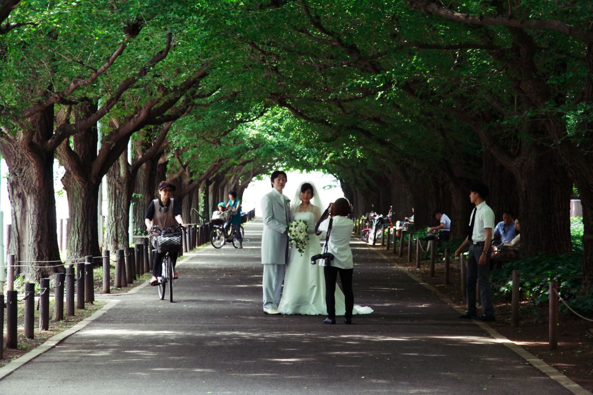 happy wedding | GANREF