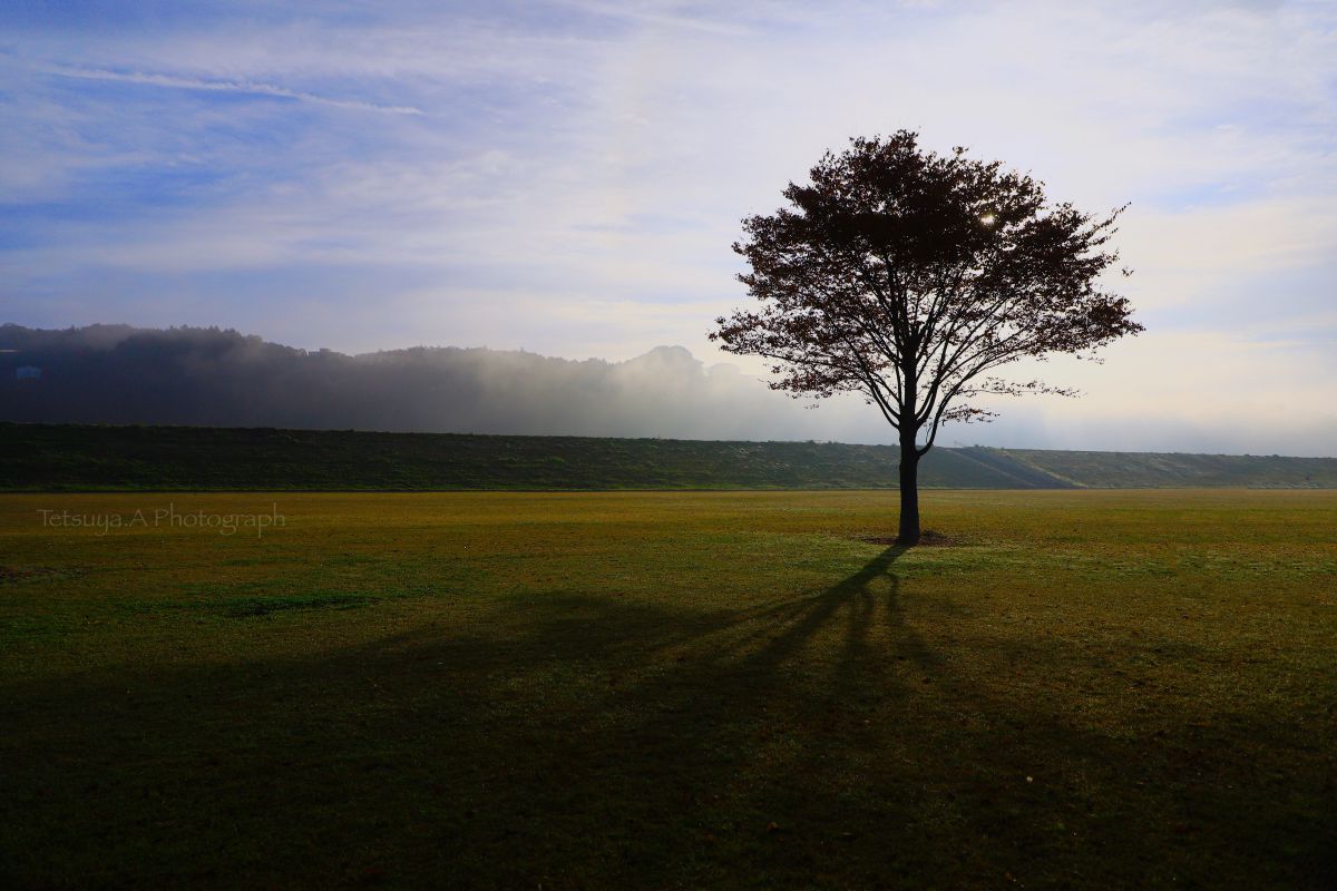 朝靄の影踏み | GANREF