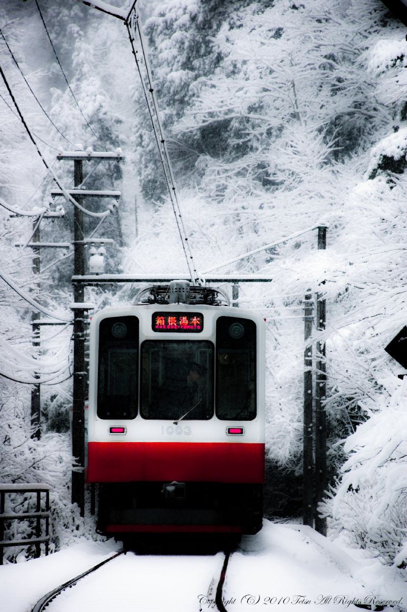 DSC_5846-6.jpg | GANREF