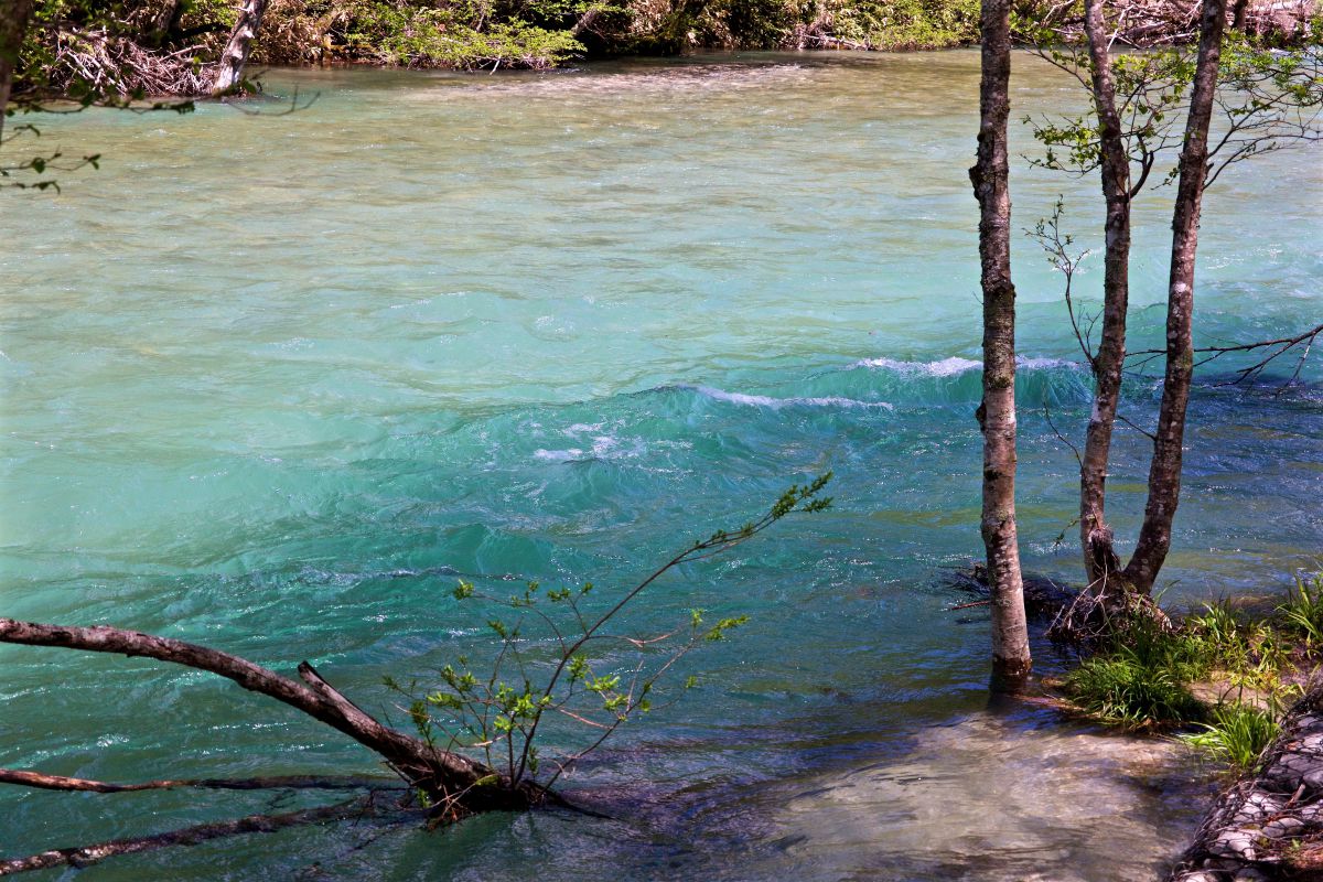 Blue Stream | GANREF