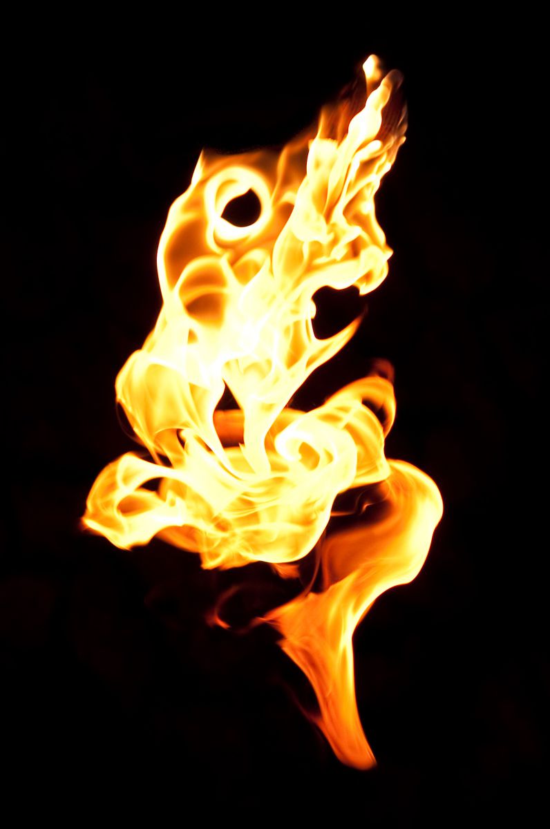 fire dragon | GANREF