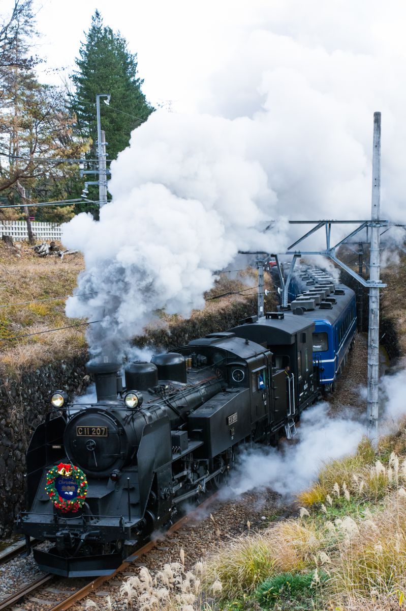 東武鉄道鬼怒川線 C11 207 SL大樹 (2) | GANREF
