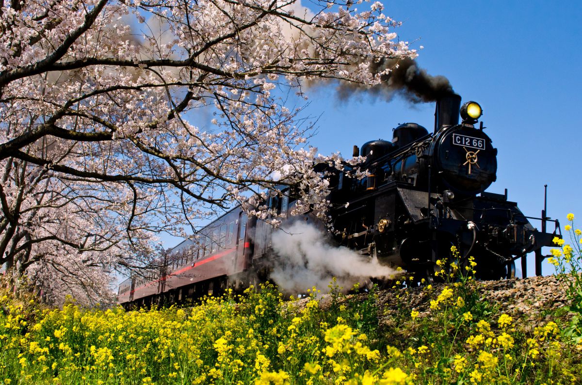 真岡鉄道 C12 | GANREF