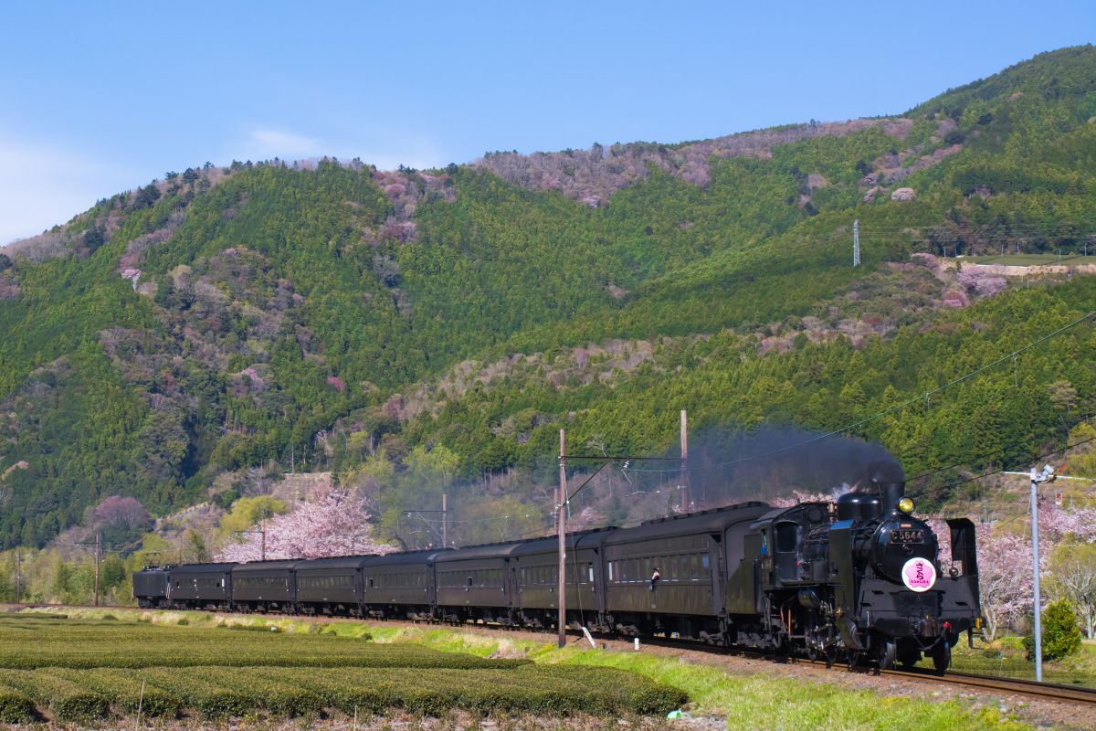 大井川鐵道 C56 44 | GANREF