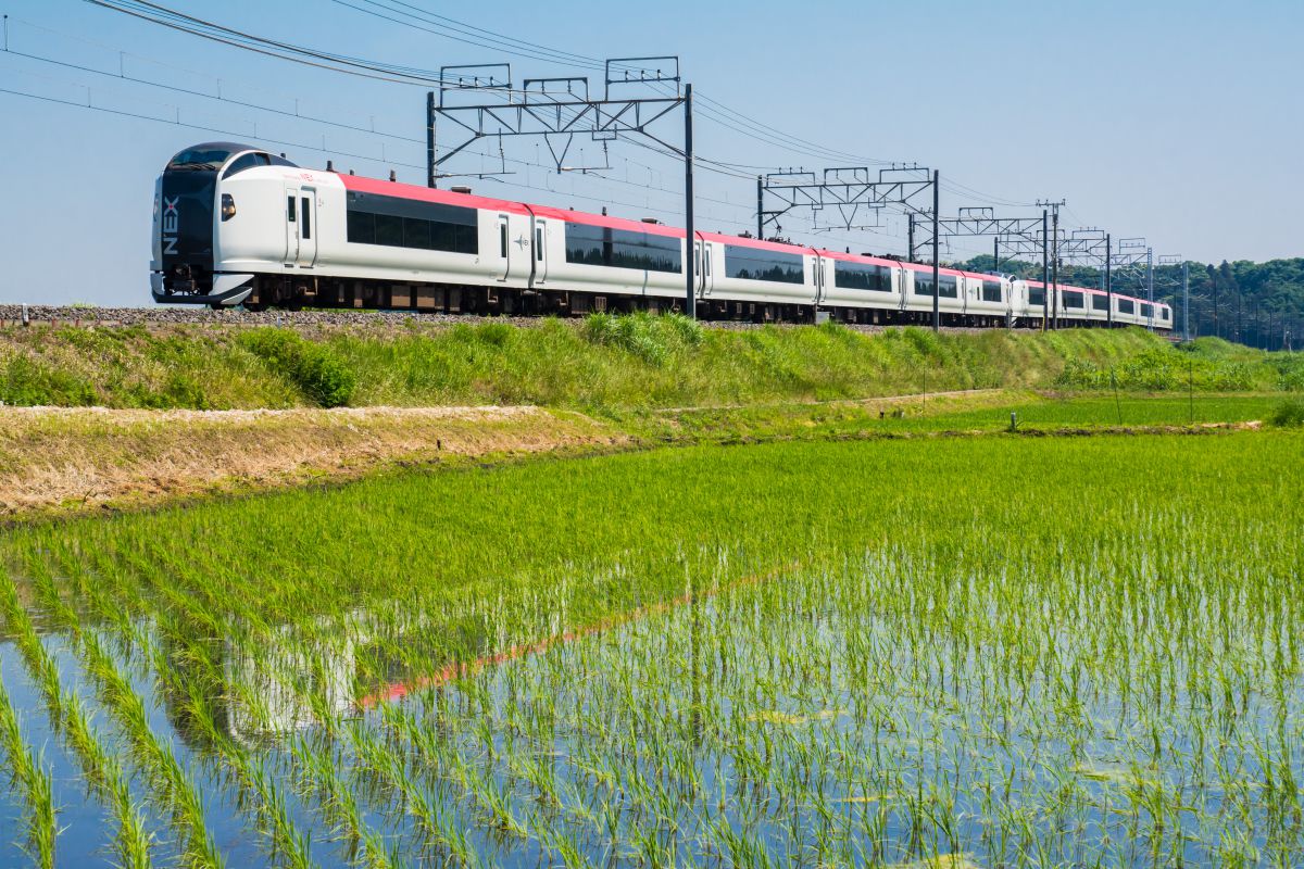 JR総武本線 E259系 成田エクスプレス (1) | GANREF