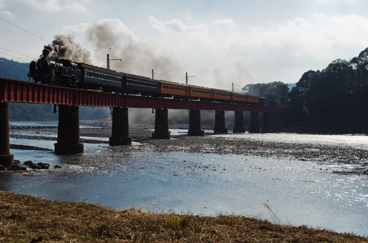 大井川鐵道 C11 | GANREF