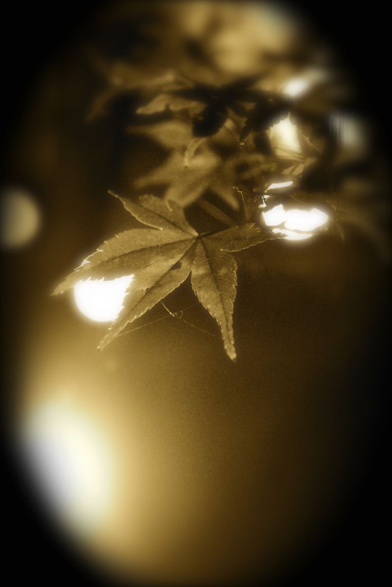 アンテーク | GANREF