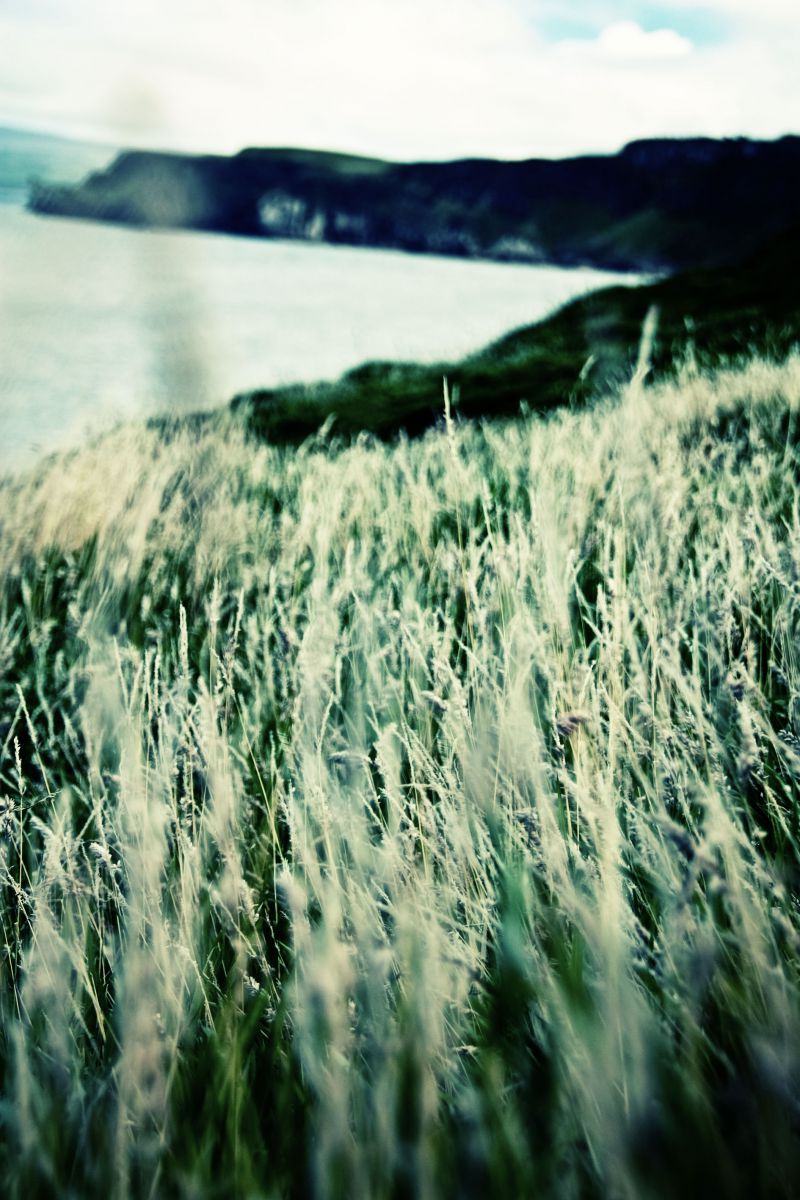 Carrick-a-Rede | GANREF