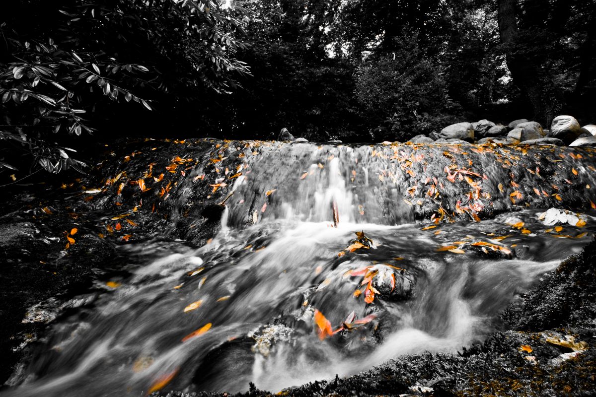 4914148861_e3771d591d_o.jpg | GANREF