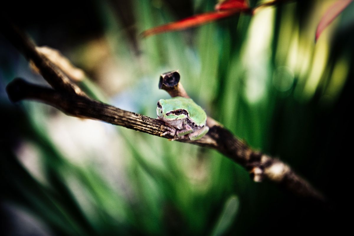 a stick.jpg | GANREF