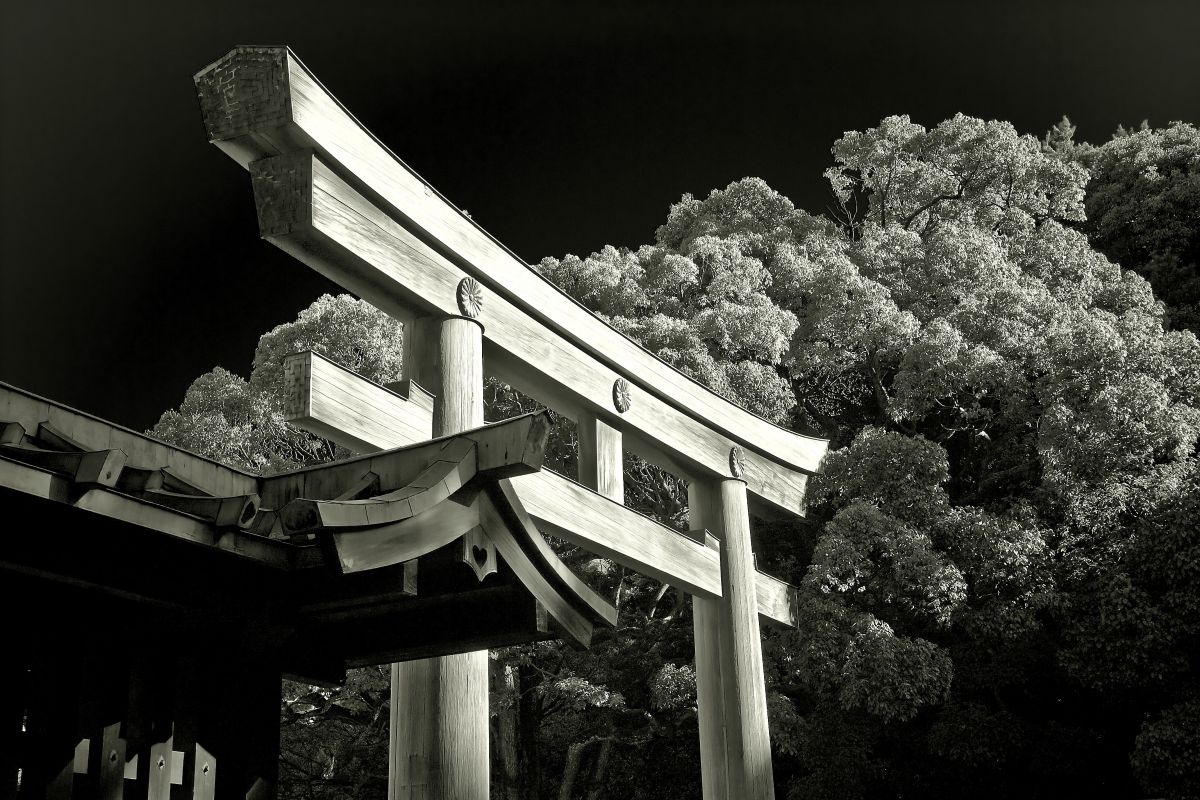 Meiji Junguu | GANREF