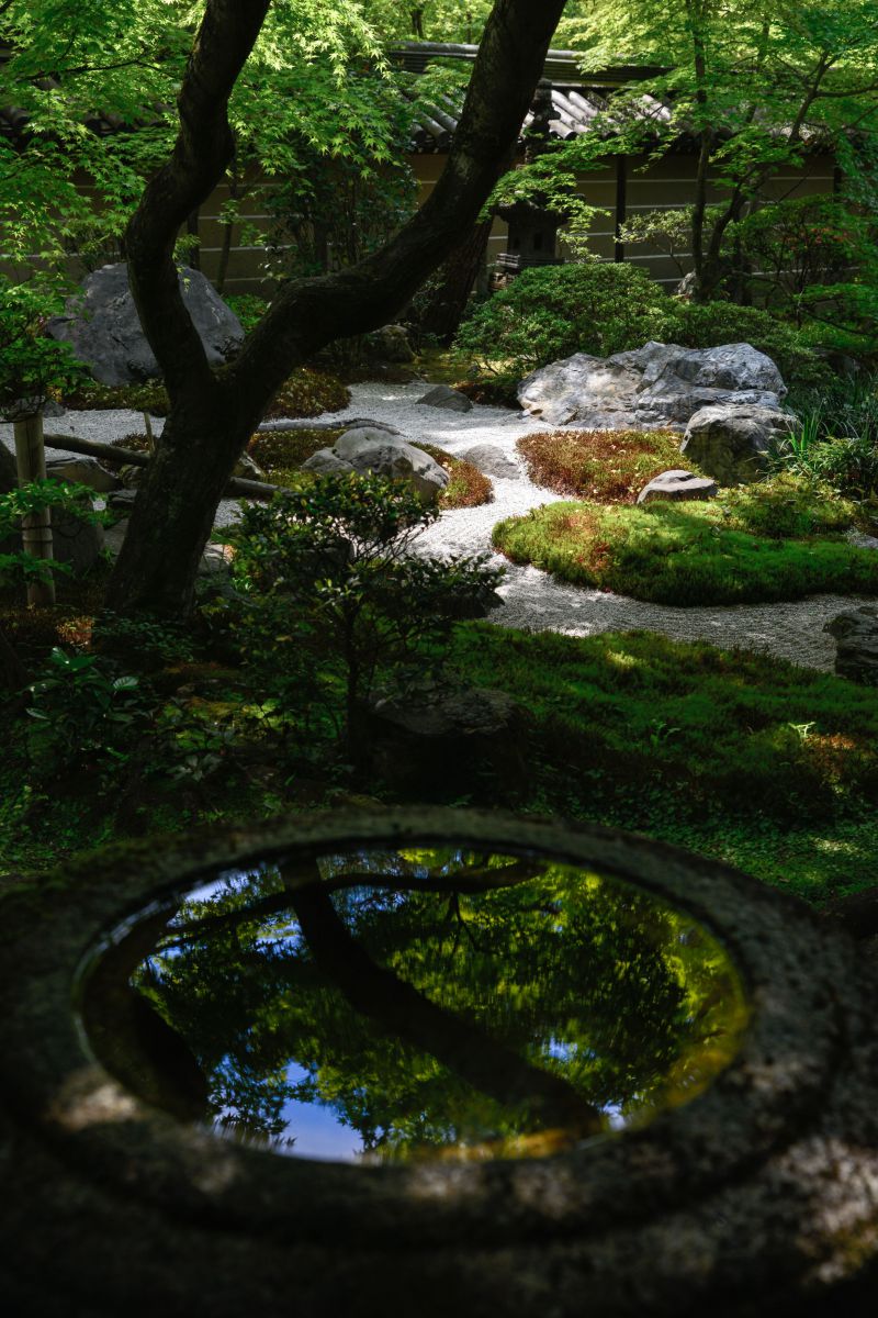 Parallel universe | GANREF