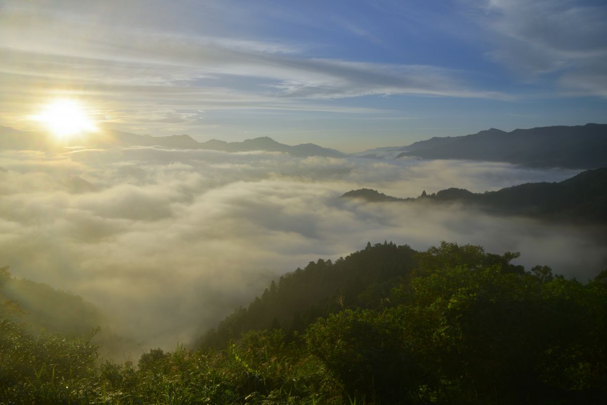 Sea of clouds 1 | GANREF