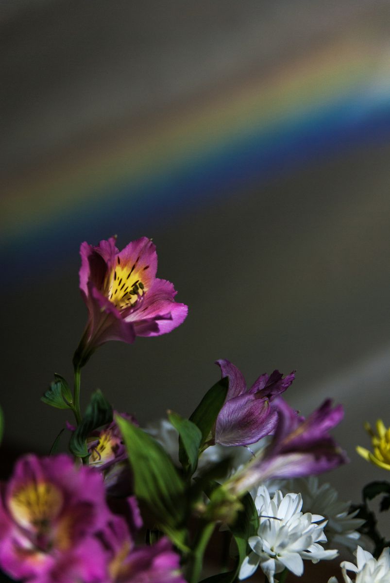 With LED light. | GANREF